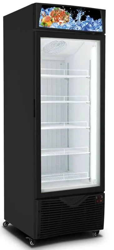 Solid Cool 1 Door Freezer SCF-430L | Commercial Glass Door | SurplusLoop